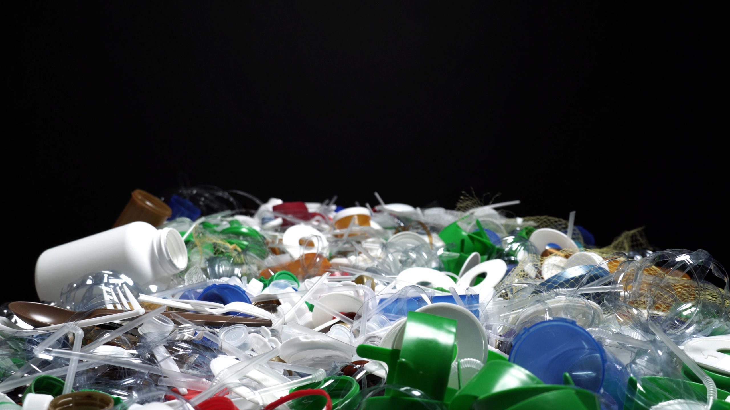 Plastic-Eating Fungus: Nature’s Ocean Cleanup Crew – Mars Network