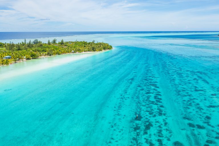 Understanding How Sample Size Affects Poll Results Mars Network