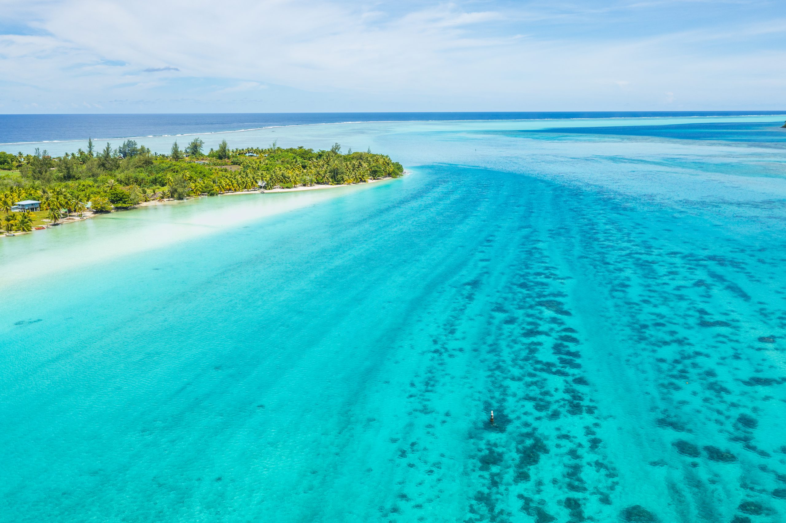 What Do Marine Biologists Do: Exploring Ocean Life Every Day – Mars Network