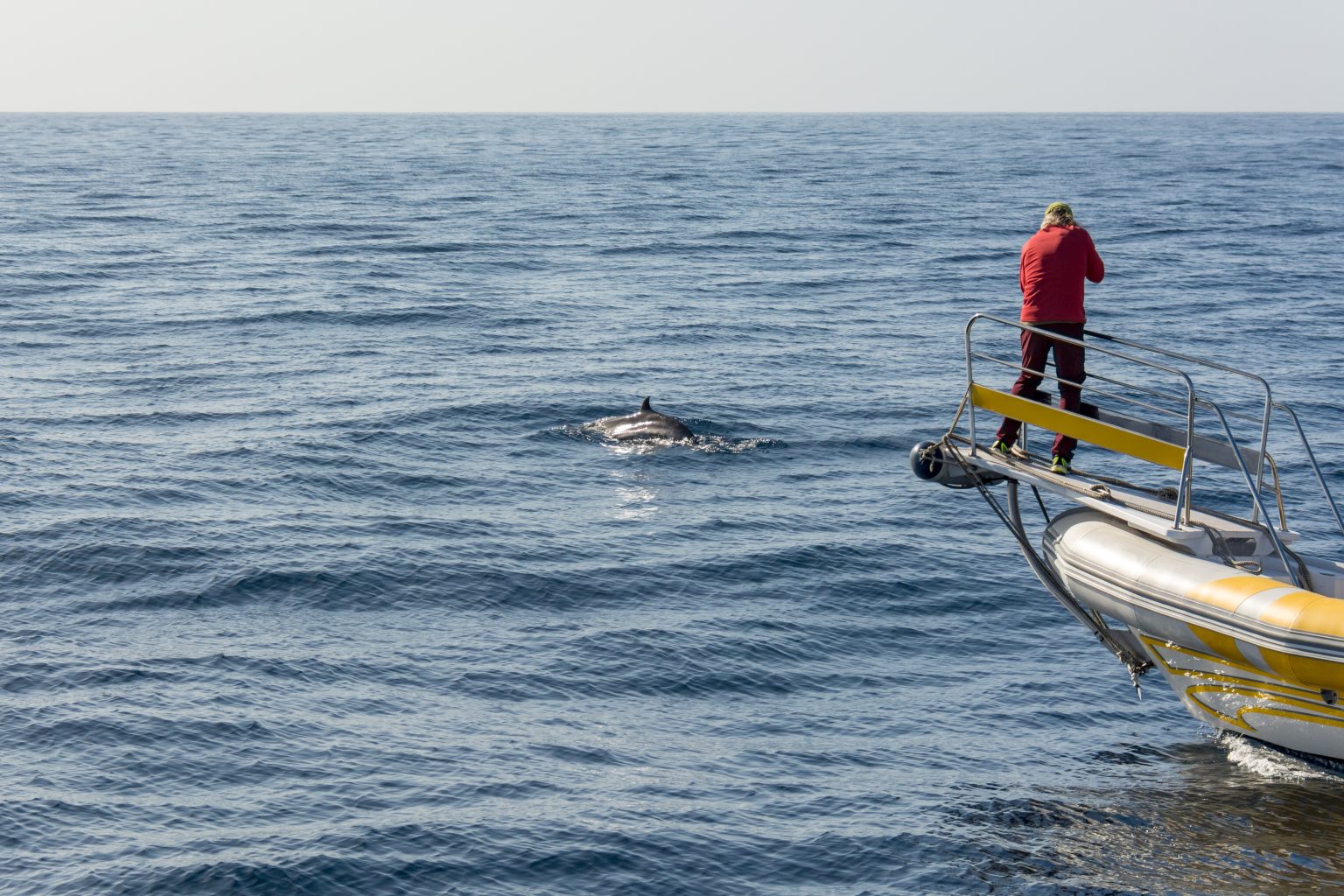 What Do Marine Biologists Do: Exploring Ocean Life Every Day – Mars Network